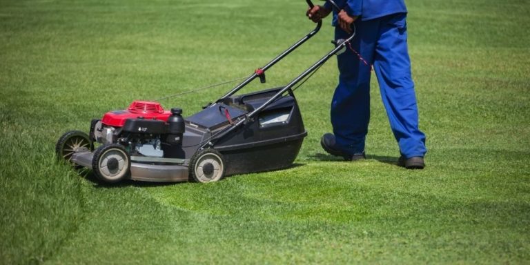 Best Lawn Mower For Collecting Grass | No More Trimmings | 2023